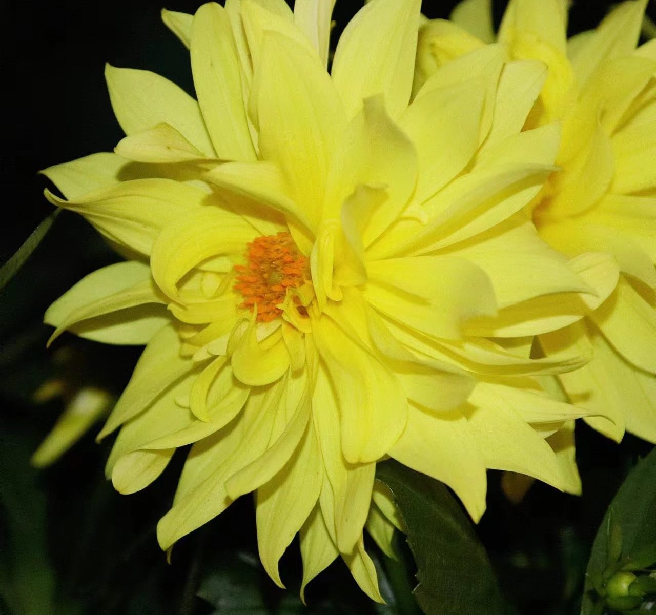 News – heyzhanglab